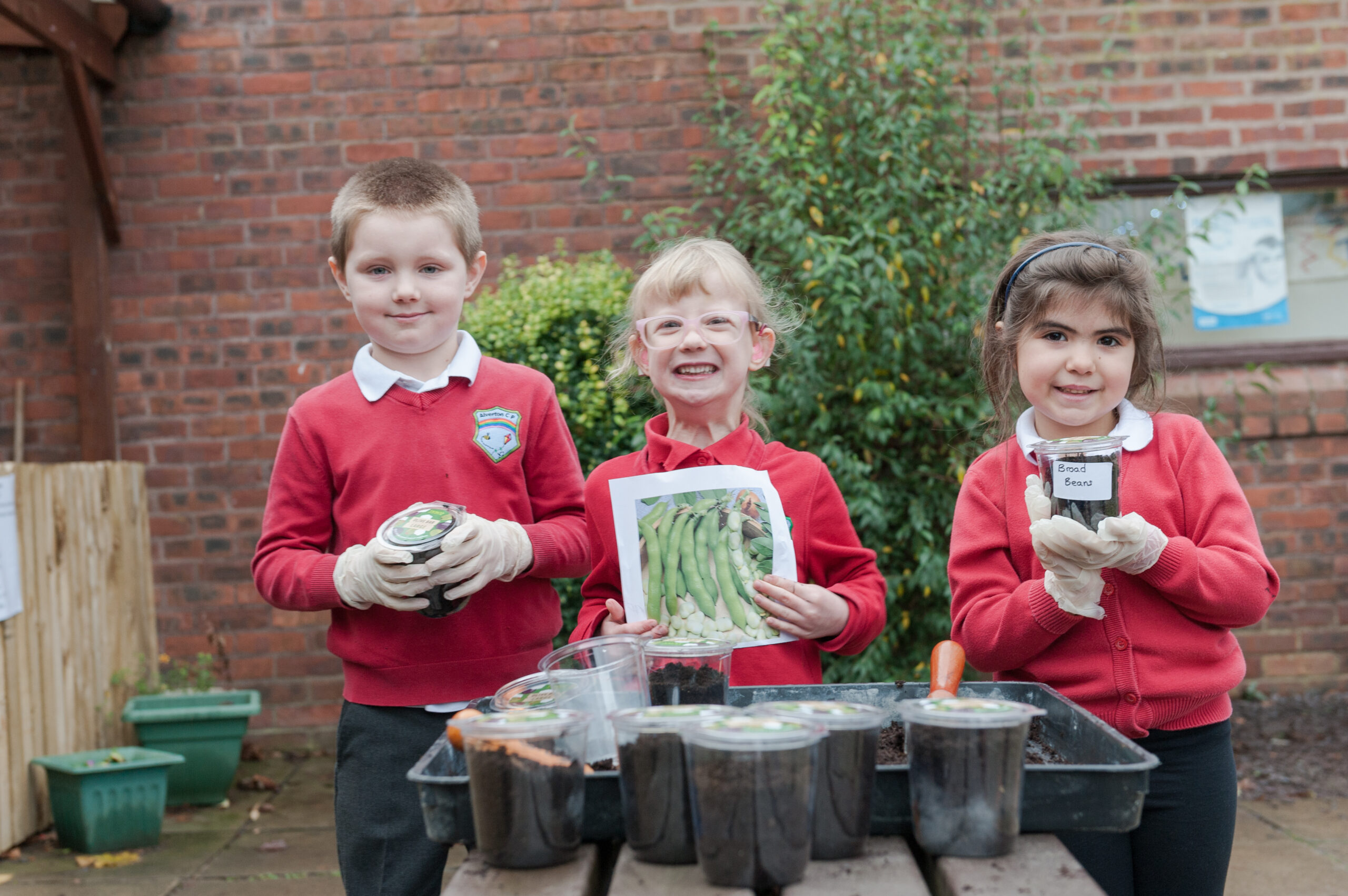 Alverton Primary School Headteacher - The Resourcing Solution